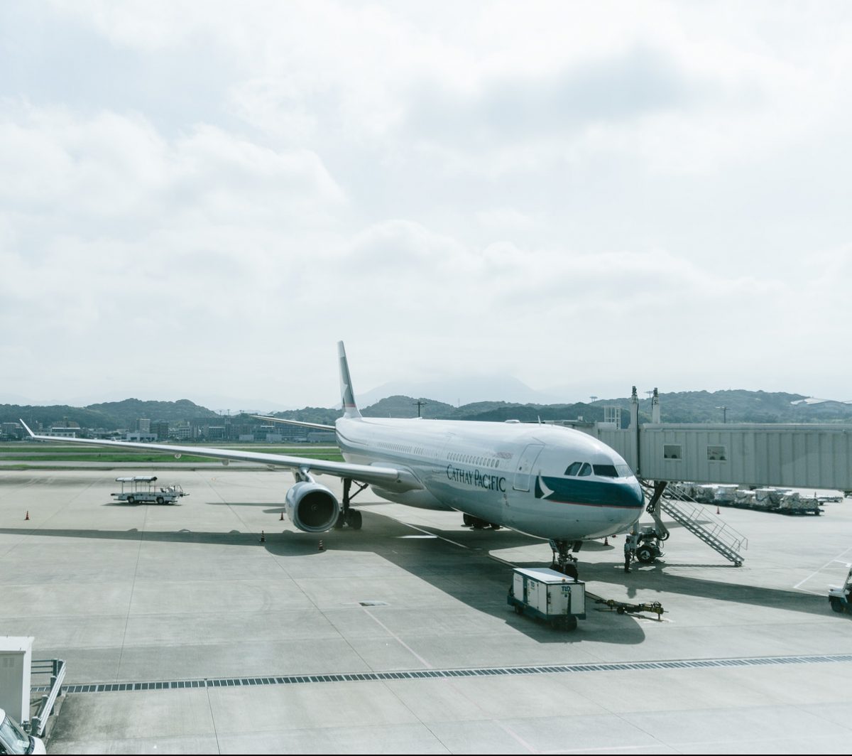 Walter Wolf - Import/Export - Wolf Racing ウルフレーシングジャパン